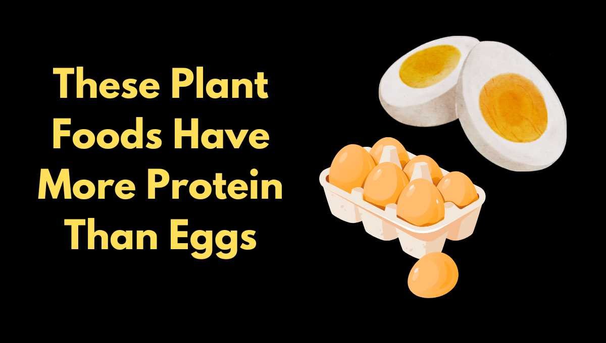 6 Plant Based Foods That Offer More Protein Than Eggs